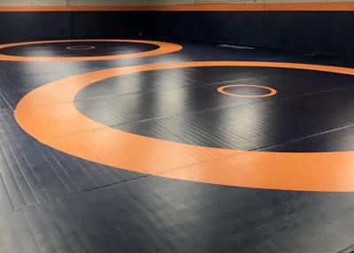 China Mat van het Judotatami van het Tatami de Vinyl 25mm Op een hoger niveau weergeven MMA Te koop