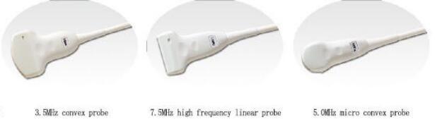 Diagnostic Ultrasound Equipment Veterinary Ultrasound Scanner With OB Software for Animals and 100 Images Storage
