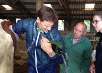 Cina Peso veterinario animale 1.1kg dell'analizzatore di ultrasuono soltanto con la copertura del sole in vendita