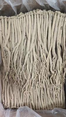 Cina Dang Shen Codonopsis Pilosula Radice Erbe medicinali cinesi in vendita