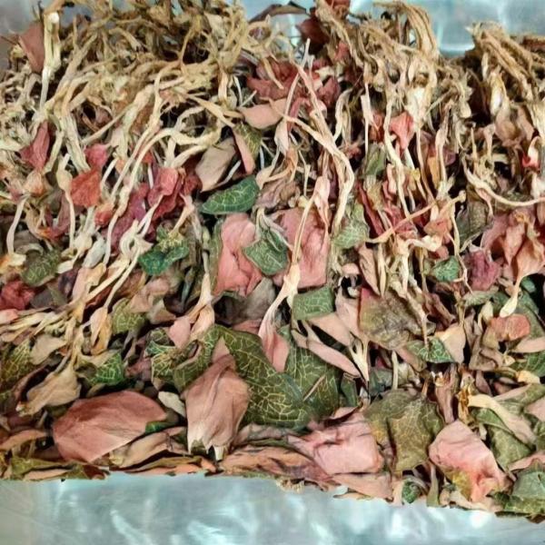 Quality Dried Anoectochilus Roxburghii Wall Lindl Natural Golden Thread Orchid for sale