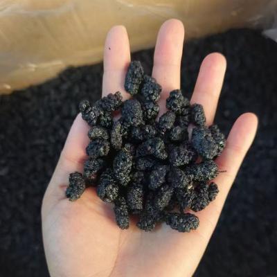 Cina Gelso nero essiccato al sole nutriente gelso nero biologico essiccato in vendita