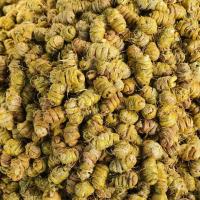 Quality Dried Dendrobium Nobile Lindl Chinese Herbal Supplements ISO9001 Certificate for sale