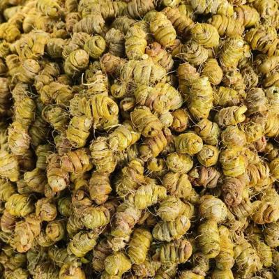 China Dried Dendrobium Nobile Lindl Chinese Herbal Supplements ISO9001 Certificate for sale