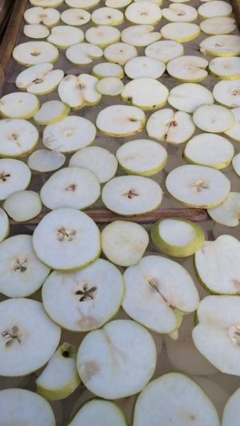 Quality Sun Drying Organic Dried Pears Natural Dried Pear Slices HALAL Certified Snow Pear for sale