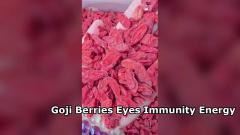 Organic Goji Berries for Eyes Immunity Vitality