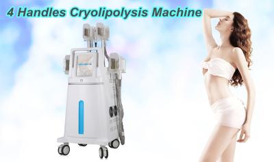 China Vacuum Cryolipolysis Slimming Machine / Four Handles Coolsculpting Equipment for sale