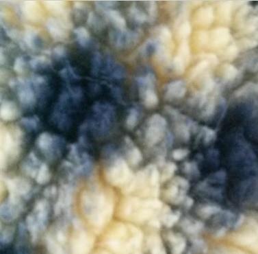 Cina Prova la morbidezza e il calore di 160 cm di larghezza 100% poliestere Sherpa tessuto di velluto in vendita