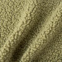 China Hand Feeling Soft Comfortable 100% Polyester For Winter Clothing Production for sale