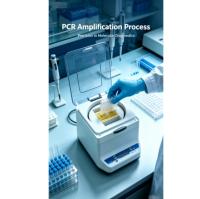 China PCR Lab Centrifuge with Lid Open Auto Stop & Short Run Function for 2 Plates for sale