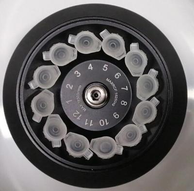 China Refrigerated CENTRIFUGE Brush-less Motor  LCD display 17,000 RPM Lab/Medical en venta