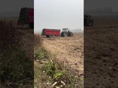 Espartilhador de estrume congelado Espartilhador de estrume congelado