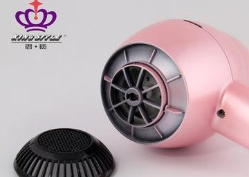 Cina Essiccatore portatile staccabile del colpo dei capelli dell'ugello 2400W del filtro smontabile in vendita