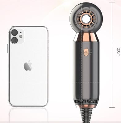 Cina Un essiccatore negativo del colpo dei capelli dello ione 800W di Styler di punto per l'hotel in vendita