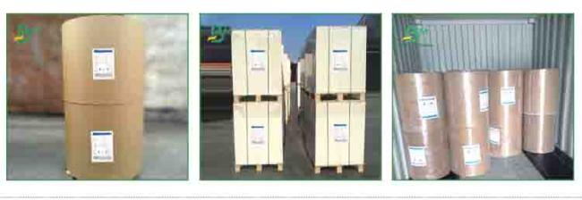 70gsm 80gsm 90gsm Offset Paper Uncoated Woodfree Paper In roll
