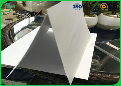 absorbent paper