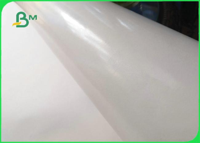 Biodegradable Single PE Laminated Coated Paper Jumbo Roll For Food Wrapping Paper 