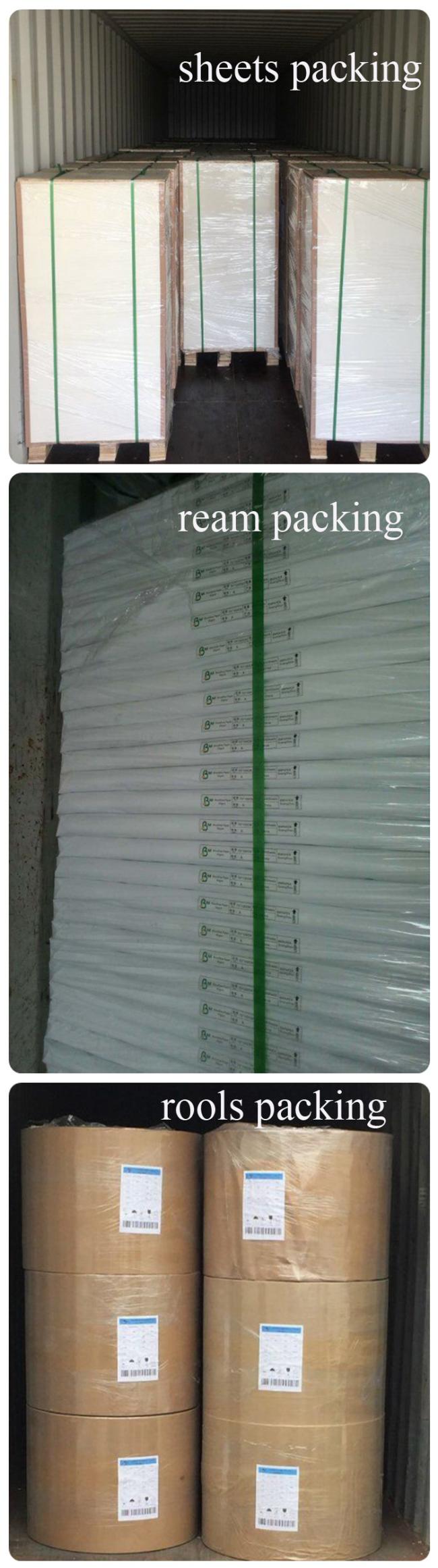 La buena absorción FSC de la tinta certificó el tamaño del papel compensado modificado para requisitos particulares para los diversos libros