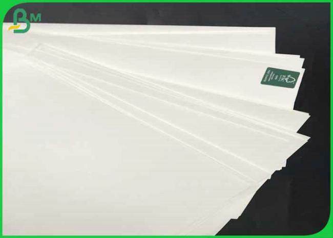 Great Stiffness 160gsm+10gsm PE White Cup Paper Roll For Making Coffee Cup