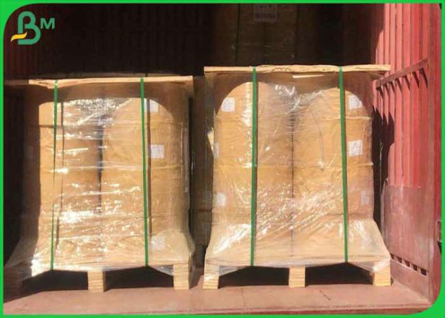 Great Stiffness 160gsm+10gsm PE White Cup Paper Roll For Making Coffee Cup