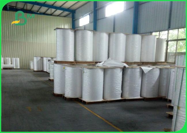 80um Polypropylene Synthetic Paper For Outdoor Advertisement ECO Waterproof 