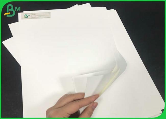 Waterproof Matte PP & PET 200um Synthetic Polypropylene Paper Roll Or Sheets