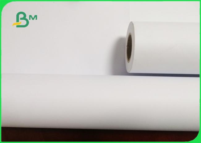 FSC Approved Smooth Surface Plotter Paper For Fruit Packaging 45gsm - 80gsm