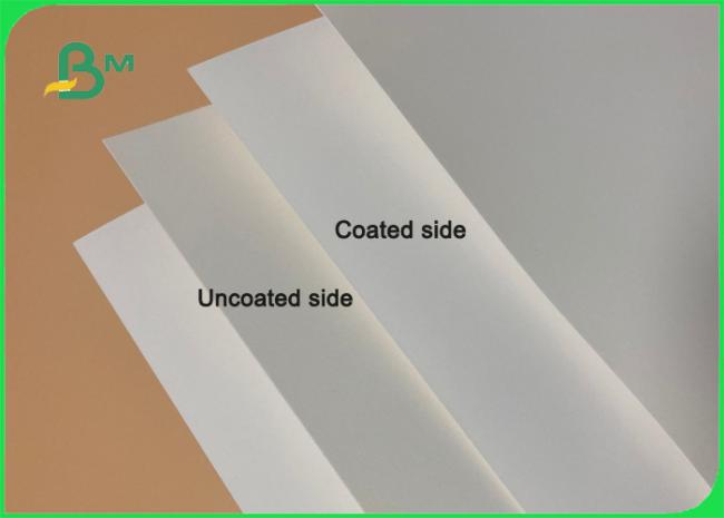 70 * 100cm 300gsm Folding Box Board Excellent Stiffness For Packaging Box