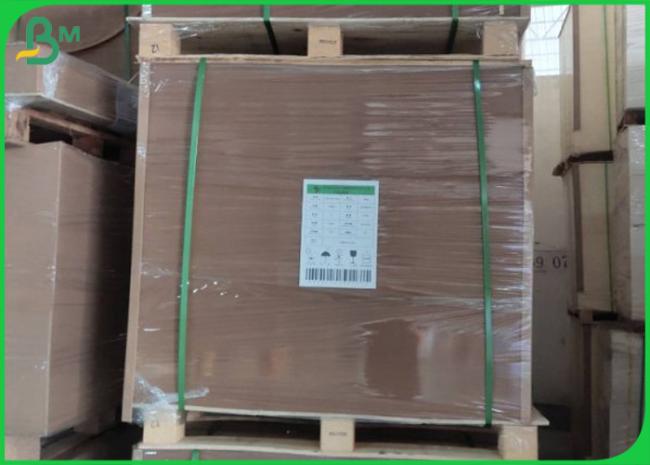 Eco-Friendly Kraft Paper 300 GSM With Single Food Grade PE Coated 15 Gram