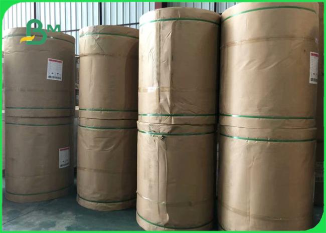 PE coated woodfree paper