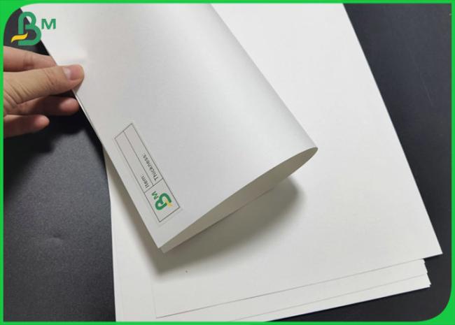 식품 등급 150gsm 250gsm은 접시를 위한 하얀 크래프트 페이퍼 롤을 도금하지 않았습니다