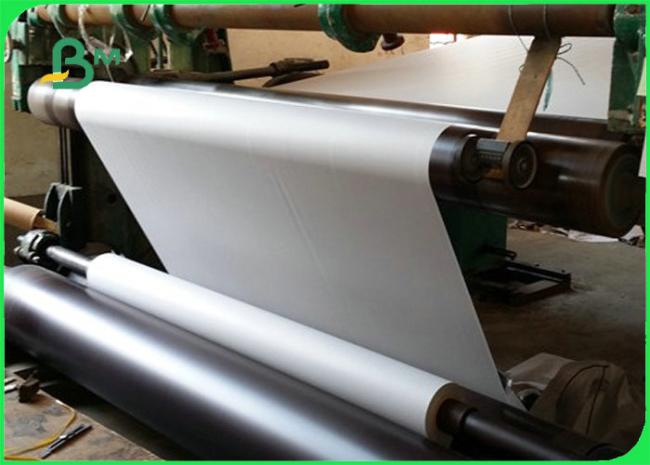 CAD Plotter paper roll 