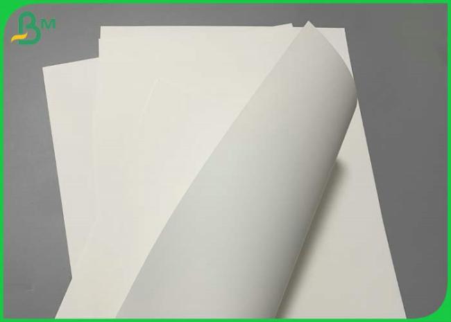 Weatherproof Laser Printer Paper A3 A4 Size 200um PET Synthetic Paper 