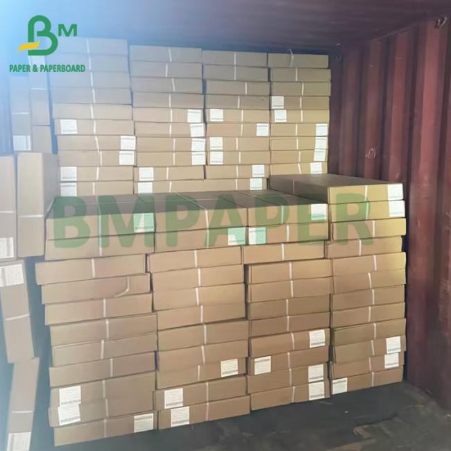 papel de modelo 80gsm tomado partido ou dobro do rolo de 20in x de 50m único tomado partido