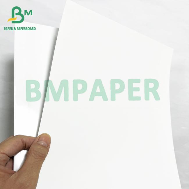250gsm 5R clear color printing glossy or matte photographic paper for image output