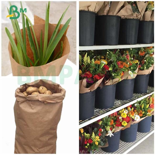 FDA Compliant 40LB 50LB Wet Strength Brown Kraft Paper For Covering plants
