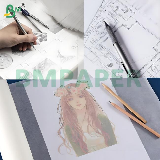 53gsm Semi Transparent Tracing Paper Rolls for Book Protection