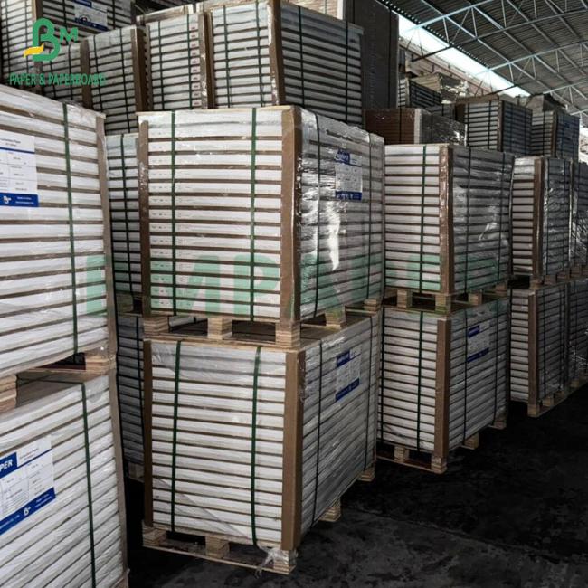 60GSM 65GSM CB CFB CF NCR Auto-copying Paper with Clear Image 610mm X 430mm