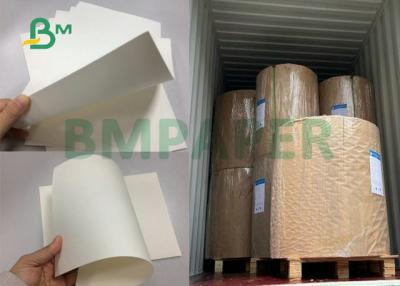China 700 X 1000mm Uncoated 210gsm 230gsm White Cupstock Base Paper Sheet For Paper Cups for sale