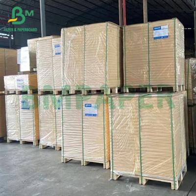China Eco Friendly Food Grade Uncoated Paper 170 - 210 Gsm Cup Stock Paper for sale