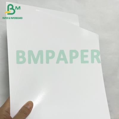 China Papel fotográfico de impresión a color transparente de 250 grs 5R para salida de imagen en venta