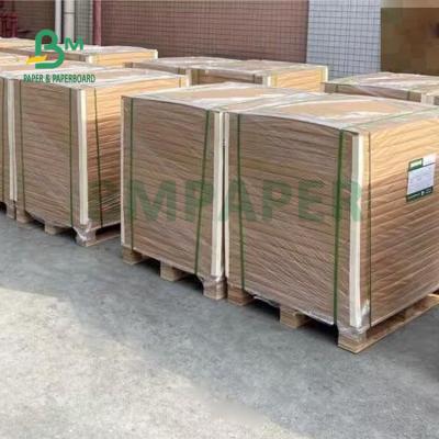 중국 200gm 잉크젯 인쇄 디지털 코팅 화려한 종이 일러스트 65 x 95cm 판매용