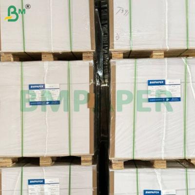 China Kit 5 30gsm Heat Resistant Food Wrapping Greaseproof Paper Rolls for sale