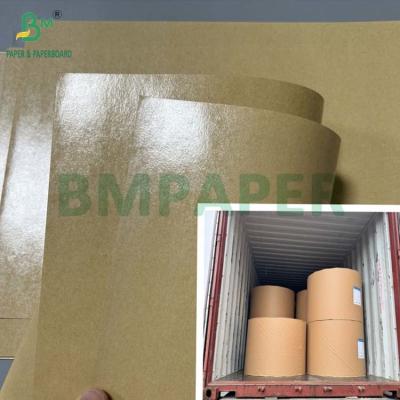China 300gsm Grease Proof 1 Side PE Coated Paperboard For Lunch Box 70 x 100cm for sale