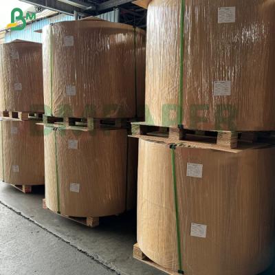 China 35gsm Grease Resistance Semi-Transparency 14