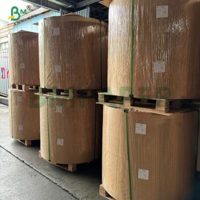 Chine 100um - 300um - Résistant aux déchirures, imperméable, recyclable, facile à dégrader à vendre