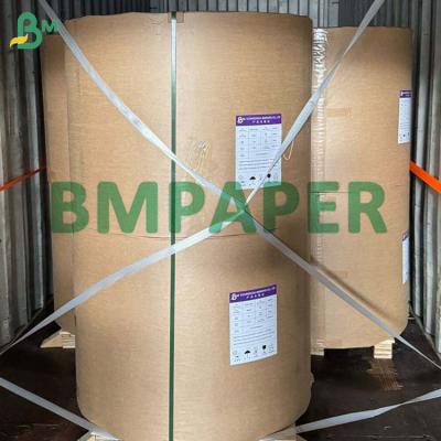 China 80g-300g Biodegradable Sugarcane Bagasse Paper Roll For Making Food Plate for sale