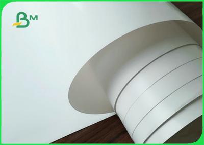China 300gsm + 15gPE Biodegradable Food Container Cardboard 100% Harmless for sale