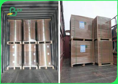 China 270GSM +12G pe Coated Kraft Board 720 * 1020mm For Making Lunch Food Boxes for sale