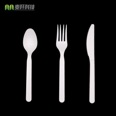China Eco-friendly 100% compostable CPLA flatware fork knife and Spoon for sale